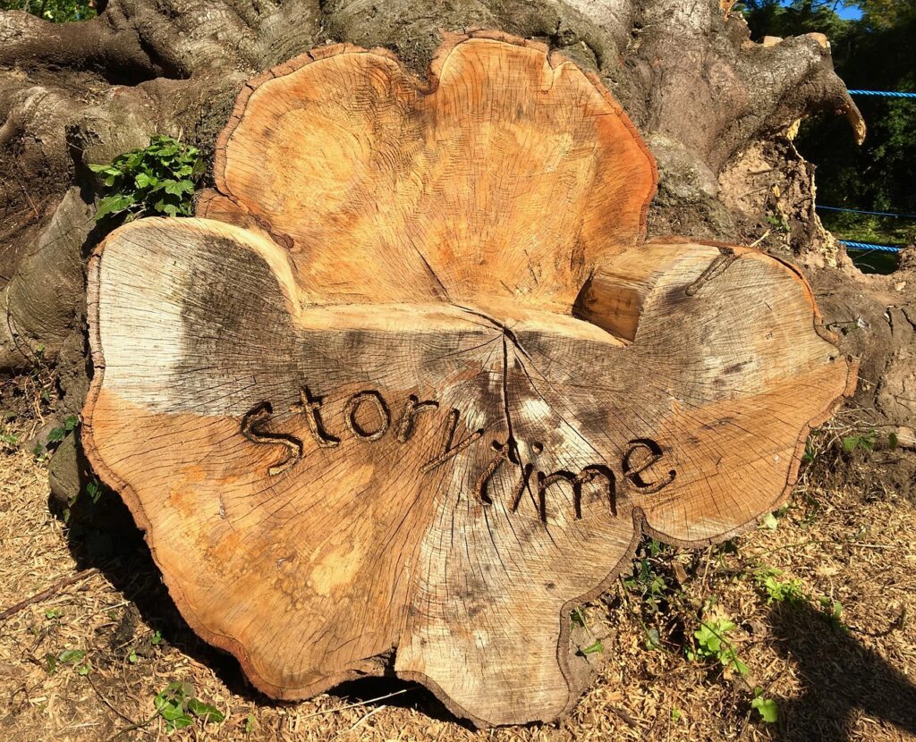 The story of wood: from ancient origins to modern applications ...